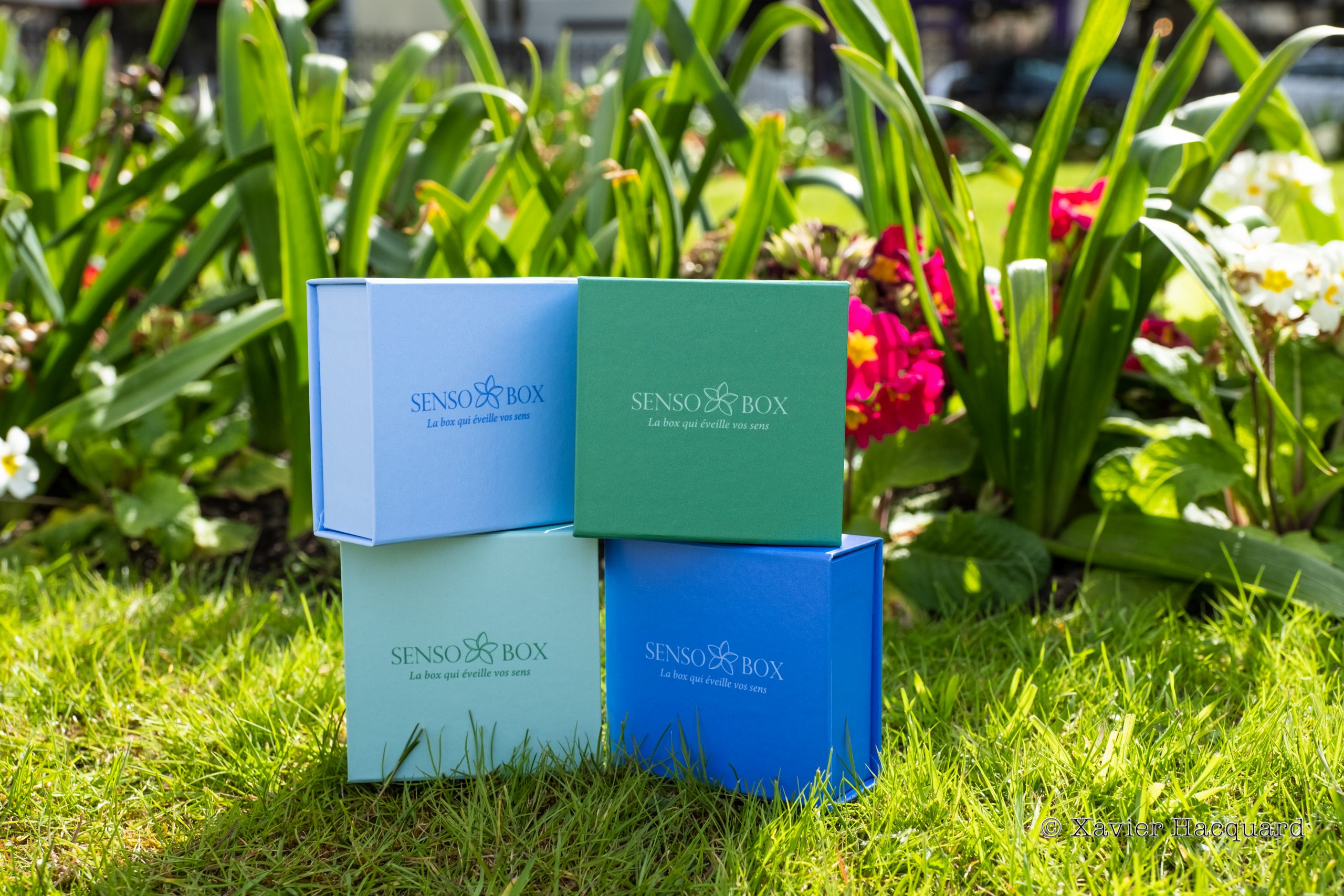 Boutique - Offrir une expérience sensorielle originale avec SENSOBOX et ...